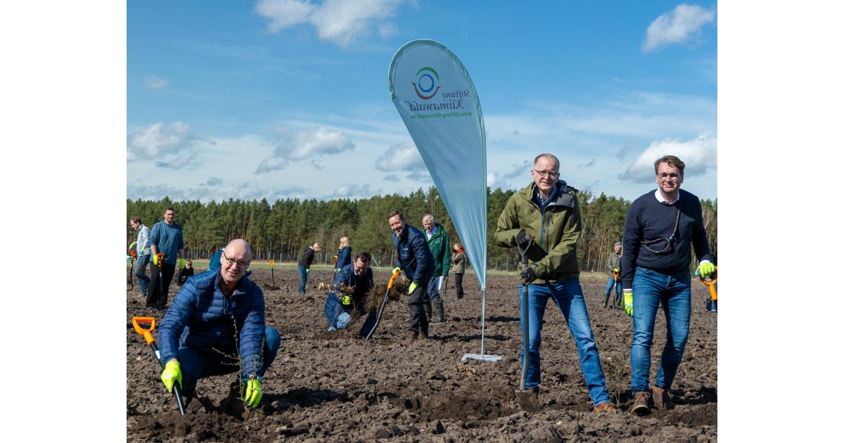 BERLINboxx - Gasag-Gruppe pflanzt Klimawald in Brandenburg